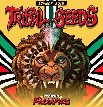 Tribal Seeds Lion