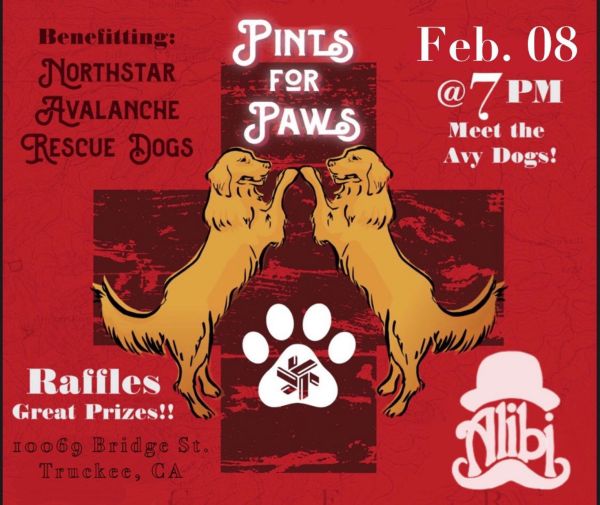Pints for Paws Fundraiser | Northstar California Resort | Lake Tahoe Events