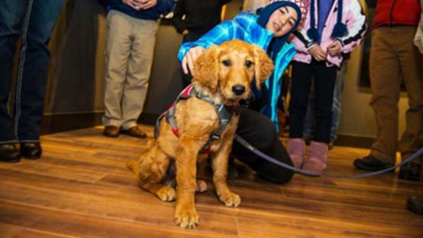 Meet the Squaw Dogs at Keoki Gallery | Palisades Tahoe | Lake Tahoe Events